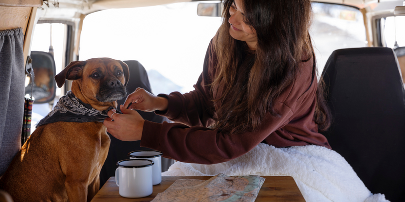11 Best Tips for Van Life with Dogs – Nomad Internet